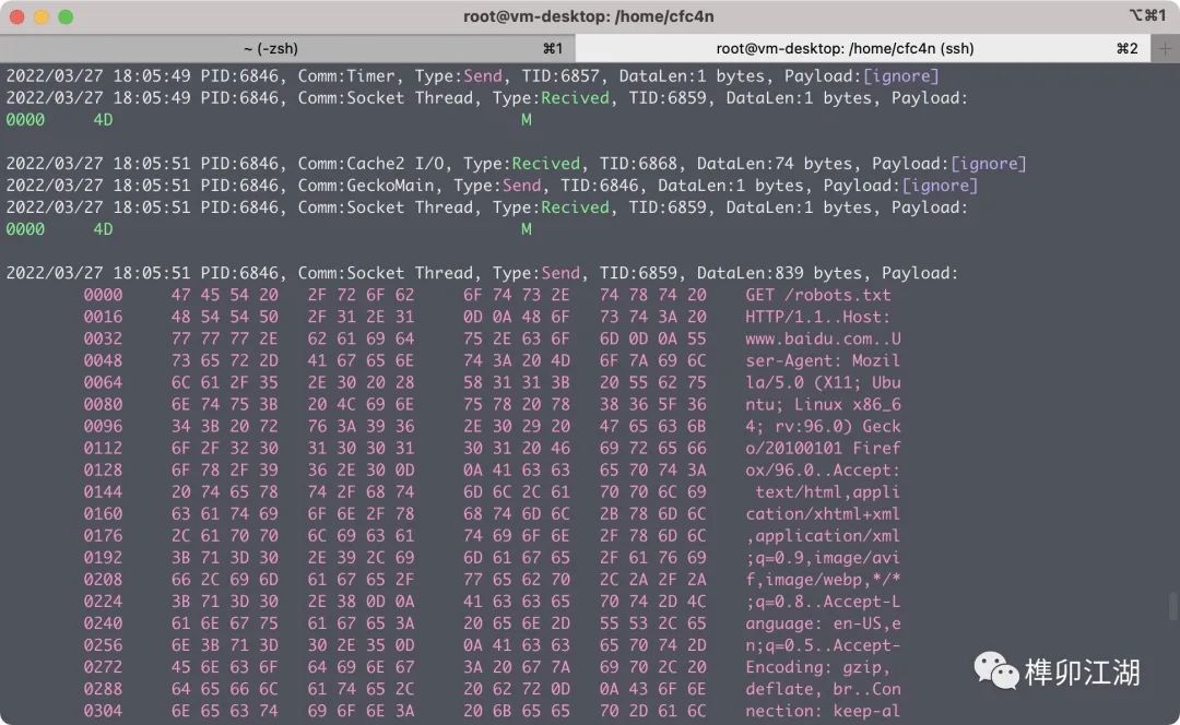 eCapture : 一款无需 CA 证书，直接抓取 HTTPS 网络明文通讯的神器-CSDN博客