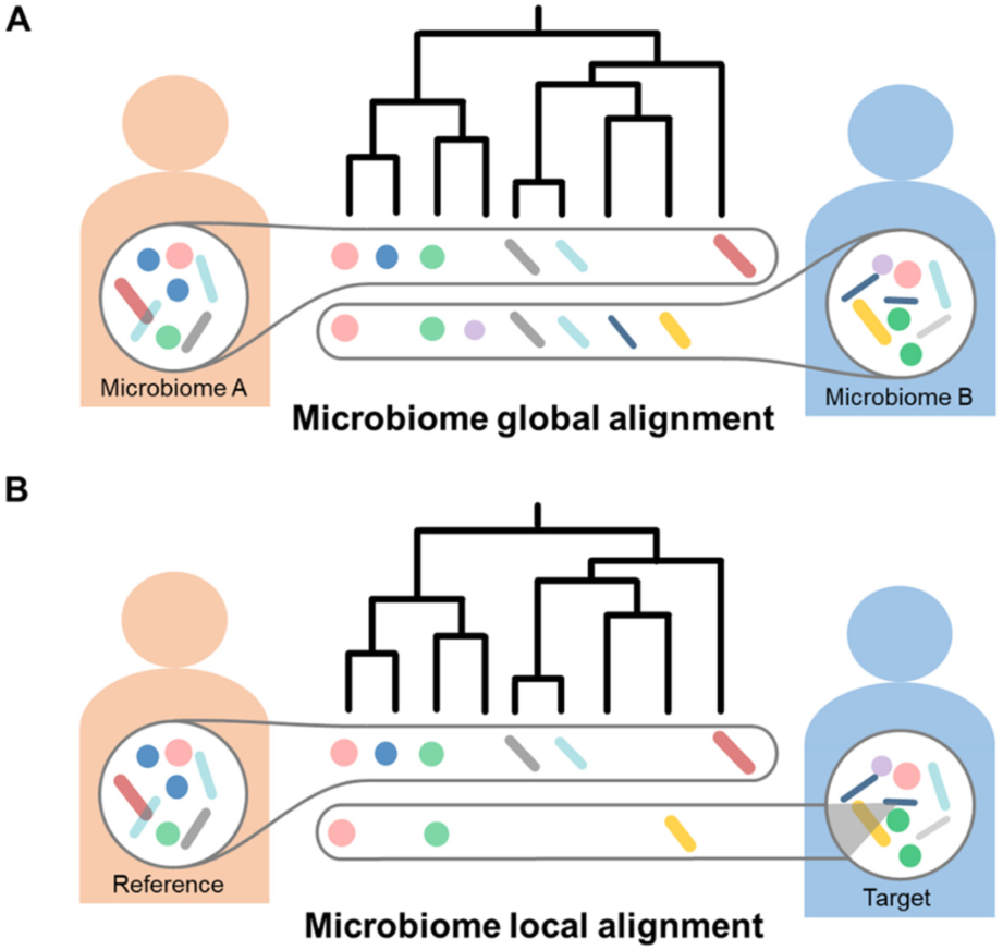 mSystems：青大苏晓泉阐述微生物组的Beta多样性-从全局比对到局部比对-CSDN博客