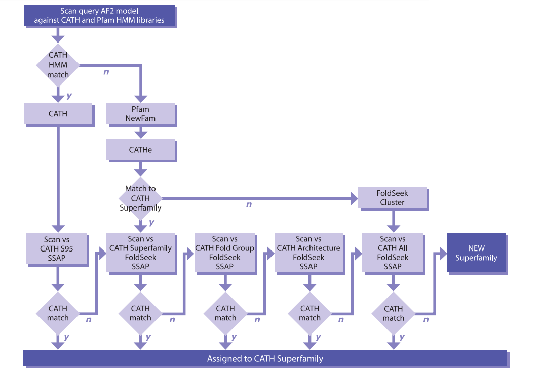 学术速运|AlphaFold2揭示了21种生物的蛋白质结构空间上的共性和新颖性_alphafold multitimer-CSDN博客