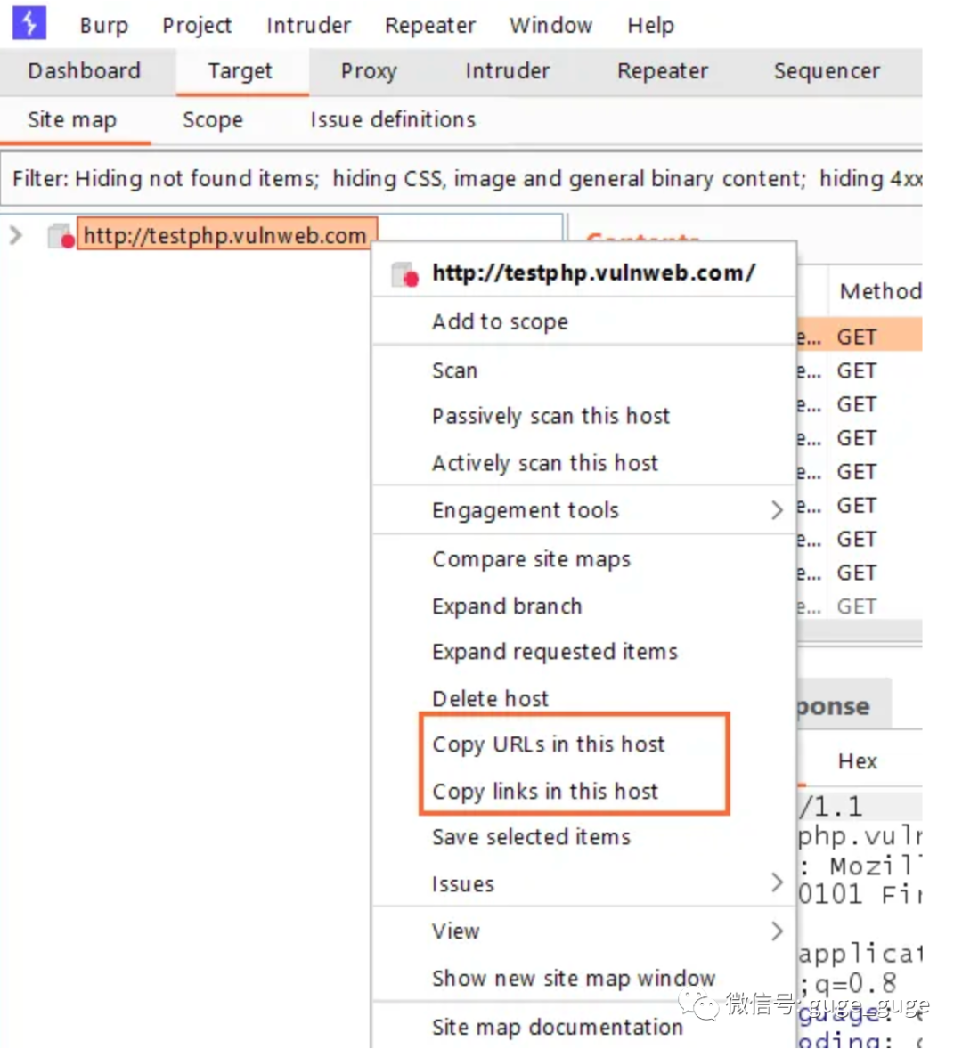 进阶必看 红客手把手教你玩透BurpSuite_burpsuit url加密快捷键-CSDN博客
