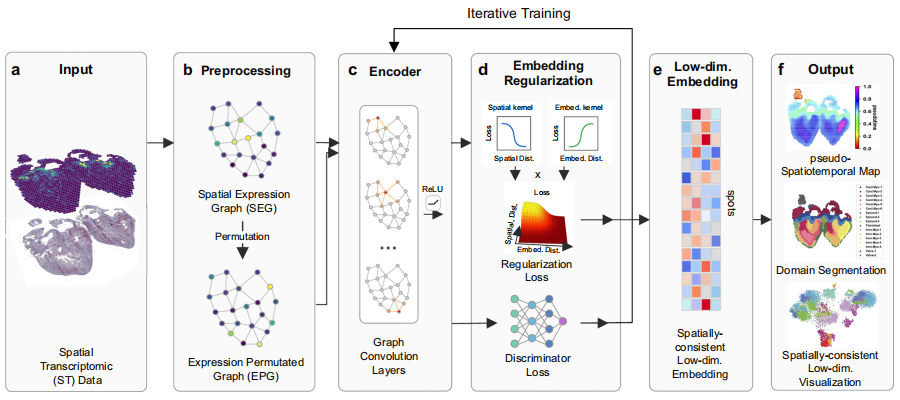 NC：利用SpaceFlow分析组织中细胞的时空模式 | 空转工具推荐_identifying multicellular spatiotemporal organizat-CSDN博客