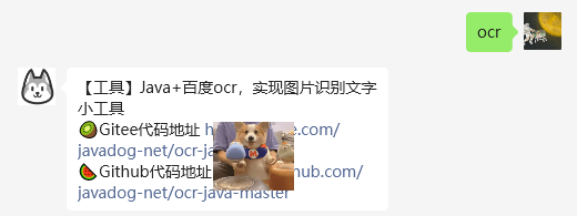 【实操】java百度ocr,实现图片识别文字小工具java 图片文字识别 Csdn博客