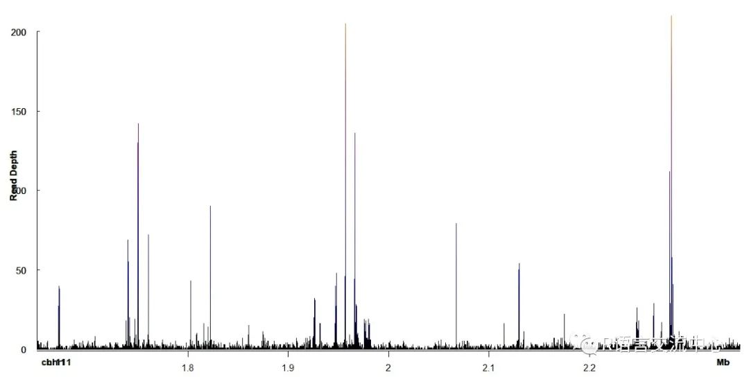 r语言结构方程模型可视化_R语言实现基因组的可视化-CSDN博客