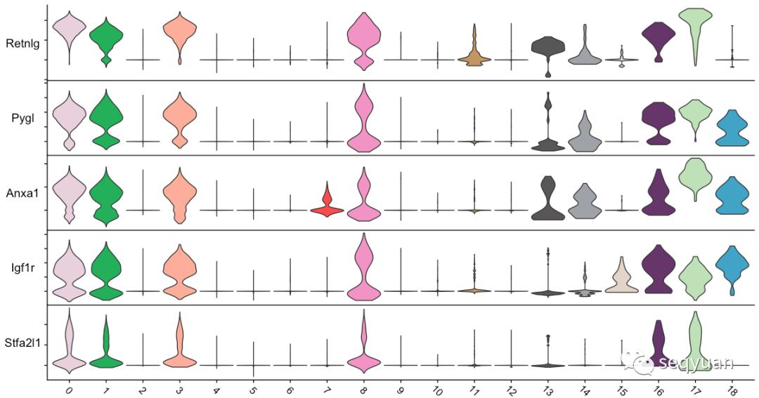 函数实现_R函数实现单细胞StackedVlnPlot-CSDN博客