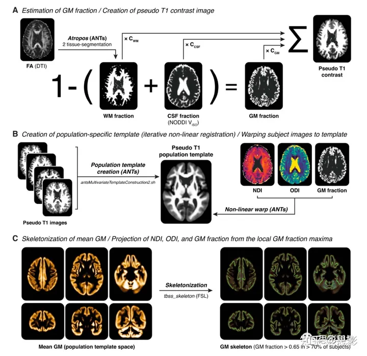 轻度认知障碍与阿尔茨海默病痴呆中皮质微结构改变_fwe校正-CSDN博客