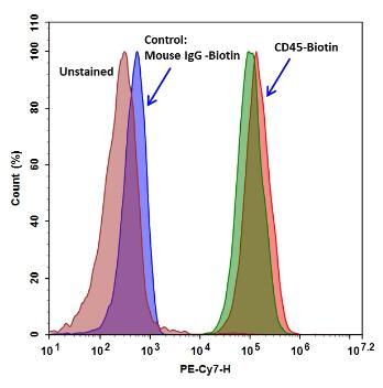 PE Cyanine7，PE Cy7，藻红蛋白（PE）Cy7，主要吸收峰位于565 nm，发射峰位于780 nm_pe-cy7激发光-CSDN博客