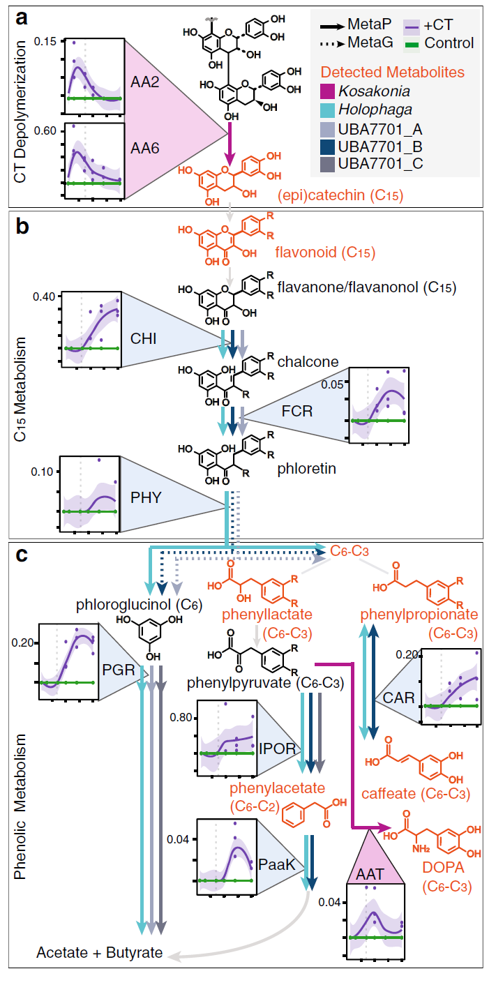 NC：宏基因组联合宏蛋白组分析揭示土壤微生物降解多酚-CSDN博客