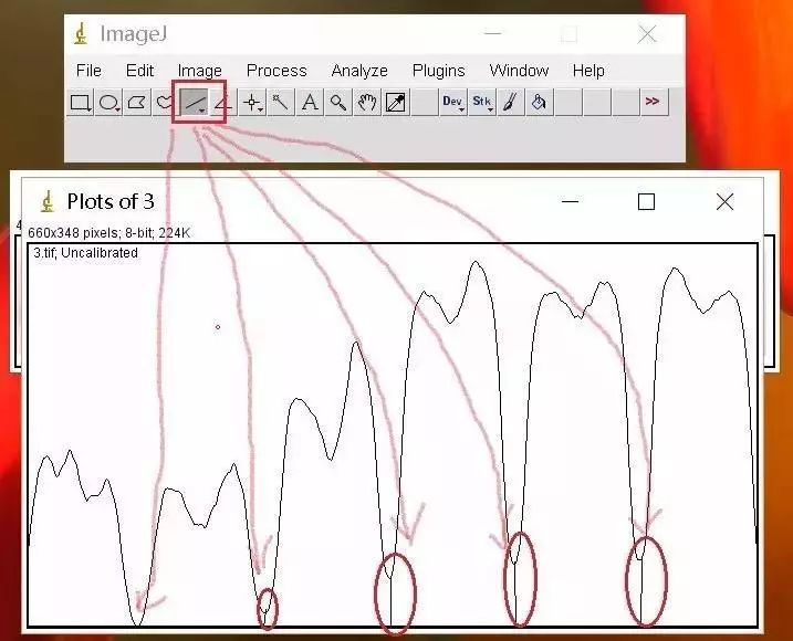 imagej旋转图片_Image J 入门之简介、如何下载及基本操作-CSDN博客