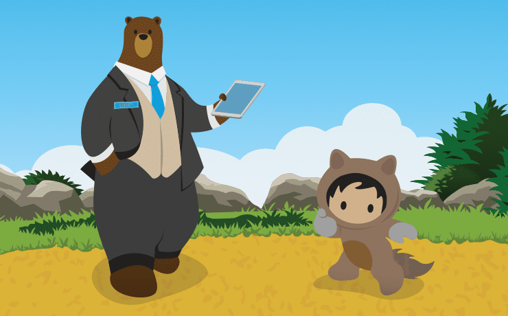 这些Salesforce开发领域的术语，你知道多少？（业内术语之系列五）_salesfroce vforce and lwc-CSDN博客