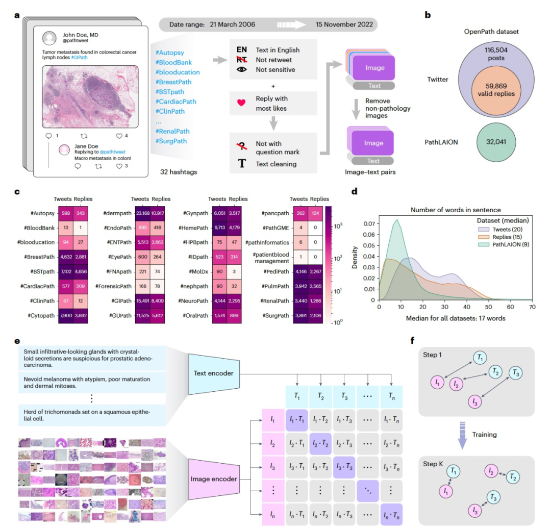 Nat. Med. | 基于视觉和语言的基础模型，用于病理图像分析_wsss4luad数据集-CSDN博客