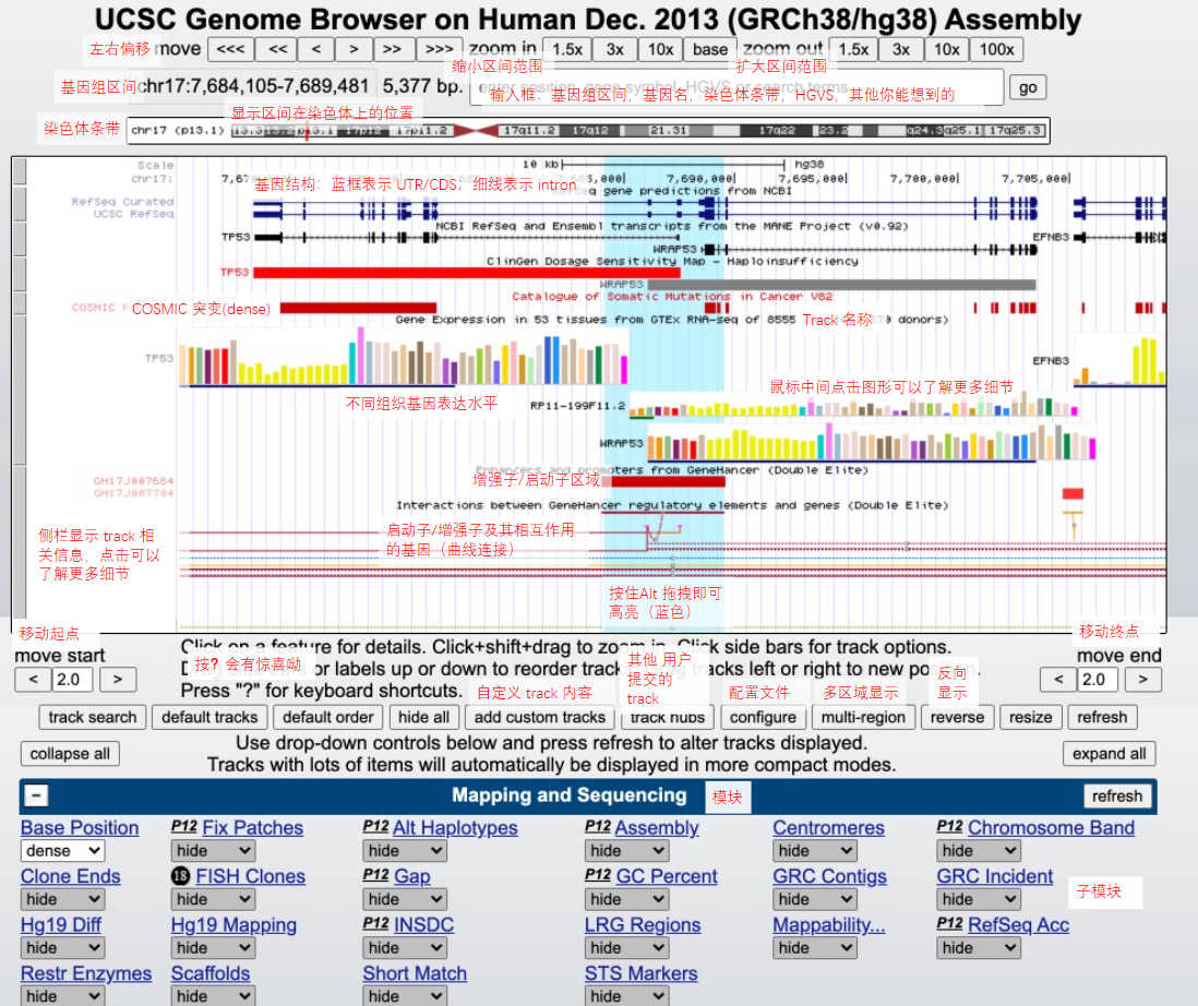 【UCSC Genome Browser】- 小技巧_ucsc如何选中dna区域-CSDN博客