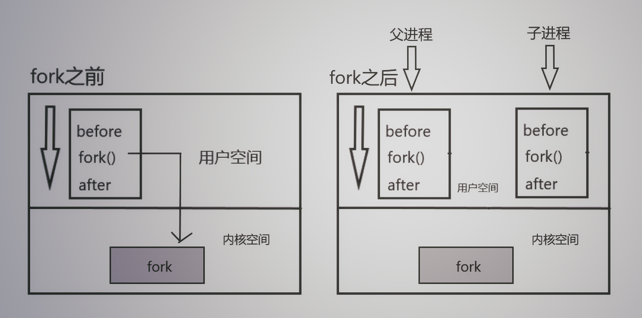 进程的创建的技巧：fork函数的两个返回值的使用和注意事项_fork有两个返回值,怎么用-CSDN博客