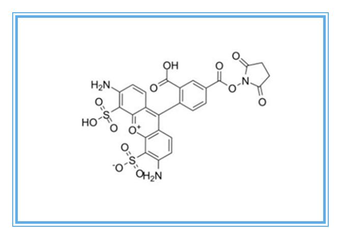 一种胺特异性荧光探针AF 488 NHS，Alexa Fluor488 NHS，AF488活性酯-CSDN博客