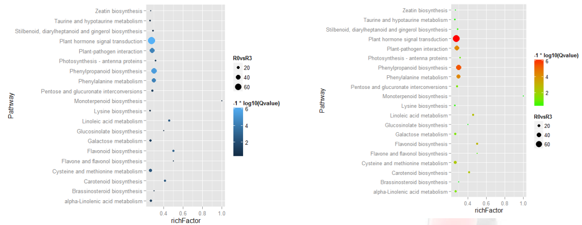 android shape 绘制气泡图,ggplot2：气泡图及散点图小结-CSDN博客