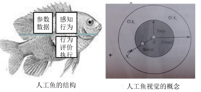 Matlab人工鱼群捕食matlab从入门到精通(3)——多目标人工鱼群算法 Csdn博客