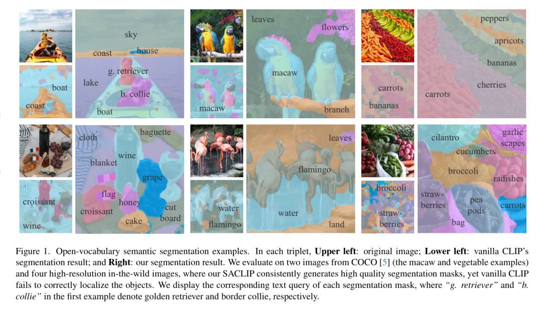 SCLIP与CLIP是什么关系？比CLIP高40点，这么离谱吗？-CSDN博客