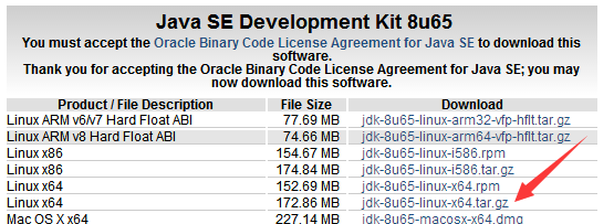 linux 下 安装 phpstorm_linux phpstorm-CSDN博客