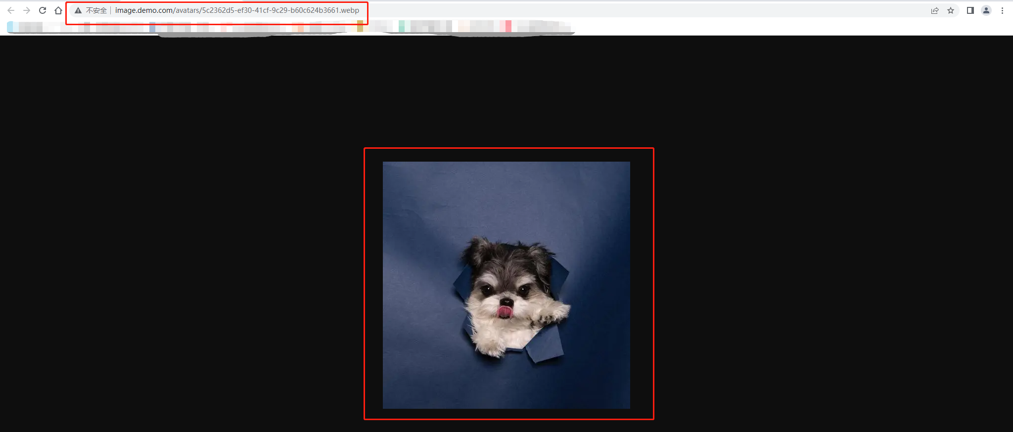 Springboot项目上传图片文件，nginx反向代理回显图片 Nginx图片代理 Csdn博客