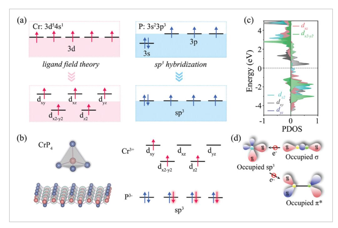 【VASP-AIMD纯计算】AEM：揭开二维半导体电催化的伪惰性基面_vasp计算aimd的参数-CSDN博客