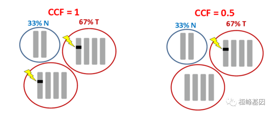 Clone 1. 肿瘤克隆进化之前世今生_克隆突变ccf-CSDN博客
