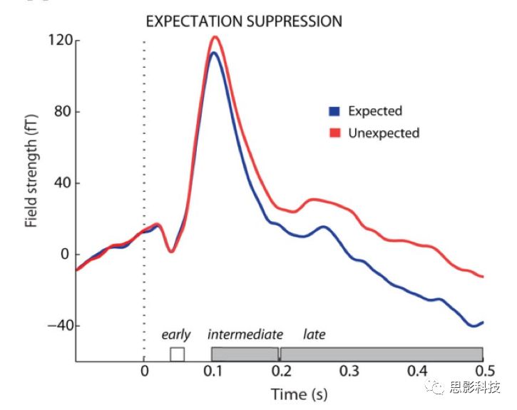 数据处理_思影数据处理服务六：脑磁图（MEG）数据处理_要点控的博客-CSDN博客