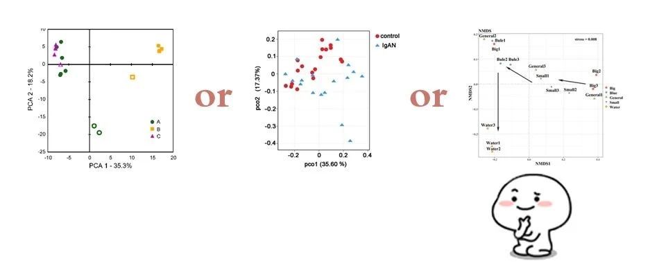 pca降维的基本思想_常见分析方法 | PCA、PCoA和NMDS有什么区别？-CSDN博客