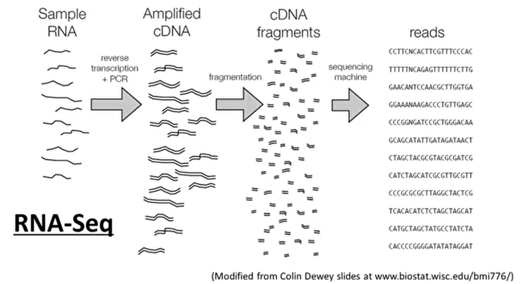 第五章 RNA-seq分析_计算rnaseq 的power值-CSDN博客