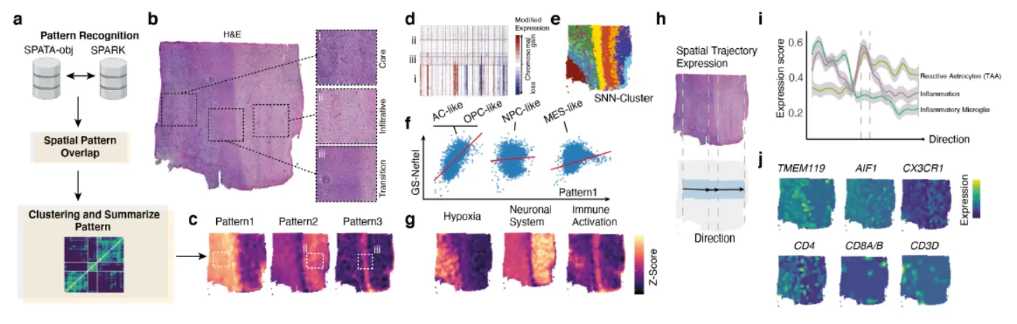 10X空间转录组轨迹分析之SPATA_createtrajectories函数-CSDN博客