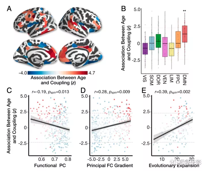 PNAS：青年时期人脑网络结构-功能耦合的发展_大脑coupling-CSDN博客