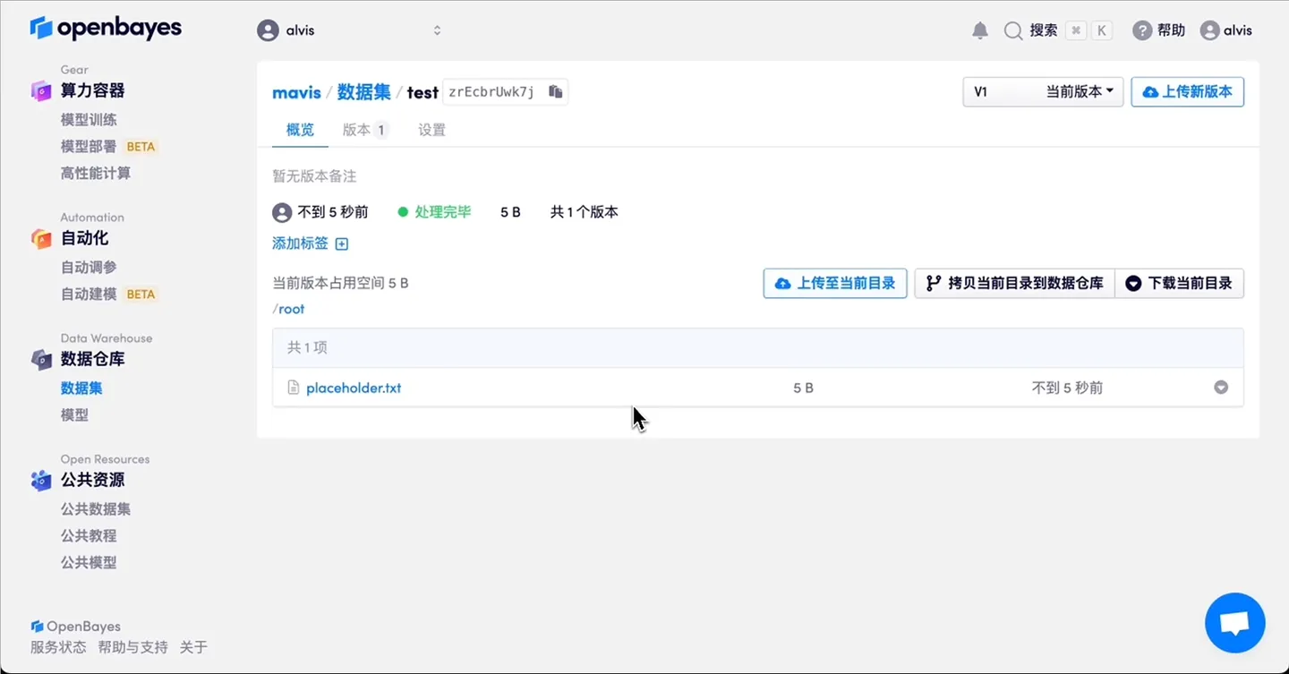 【OpenBayes 官方教程】读写绑定小技巧_openbayes官网-CSDN博客
