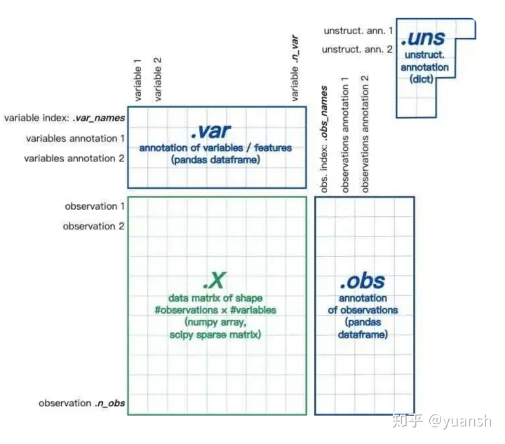 seurat提取表达矩阵_（单细胞-SingleCell）Scanpy流程——python 实现单细胞 Seurat 流程...-CSDN博客