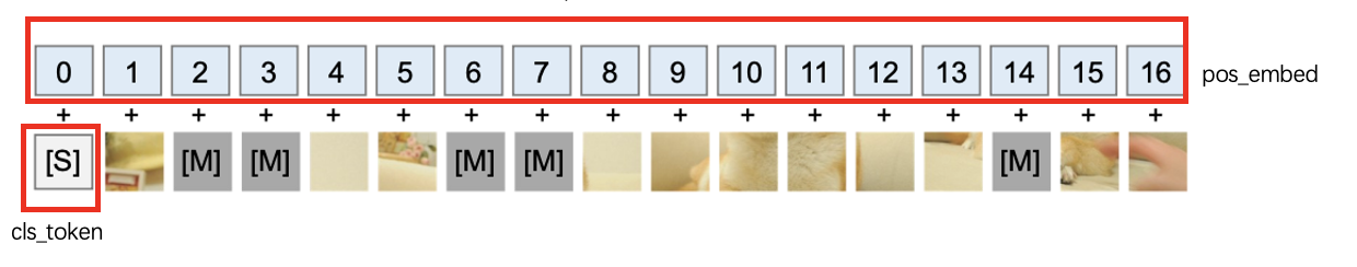 BeiT：当BERT用于图像任务——超越ViT新范式_beit3-CSDN博客