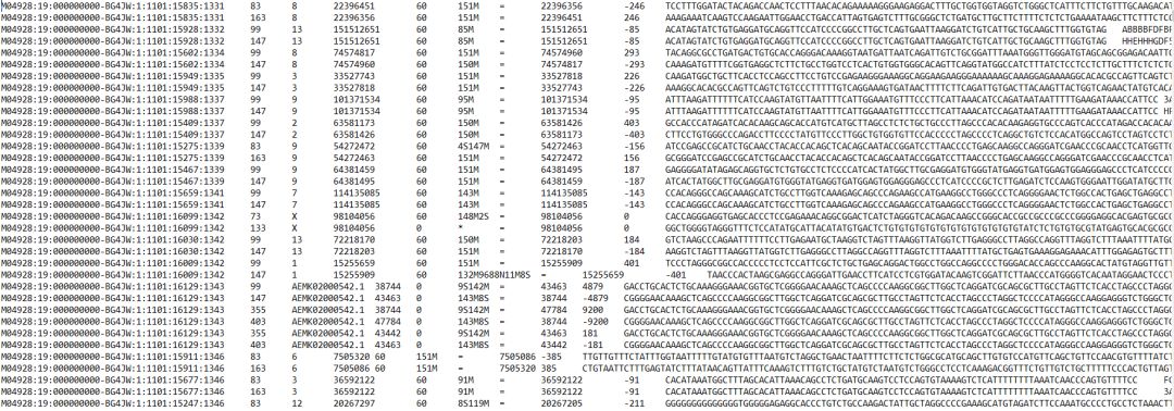 bam文件读取_生物信息学分析实用小技巧（五）：BAM/SAM两三事_佛十格格的博客-CSDN博客