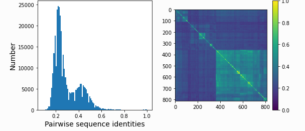 蛋白质统计偶联分析（Statistical coupling analysis，SCA）---模块一报错问题解决-CSDN博客