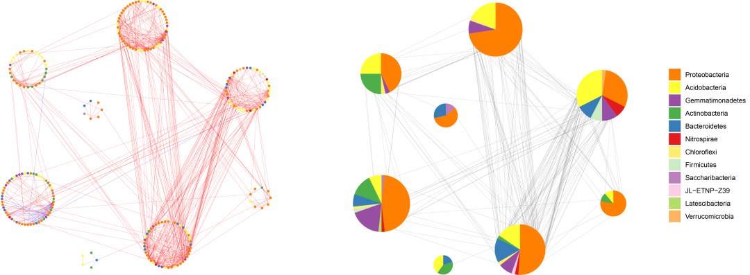 cytoscape使用方法_关于这种“网络模块”和“模块饼图”的可视化方法-CSDN博客