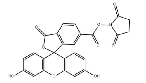 6-FAM-NHS，FAM NHS ester,6-isomer，能够将荧光基团连接到核苷酸上_6-fam 荧光基团-CSDN博客
