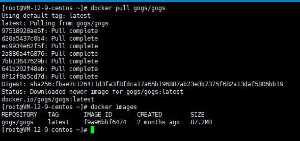 Gogs安装使用教程_gogs使用教程-CSDN博客