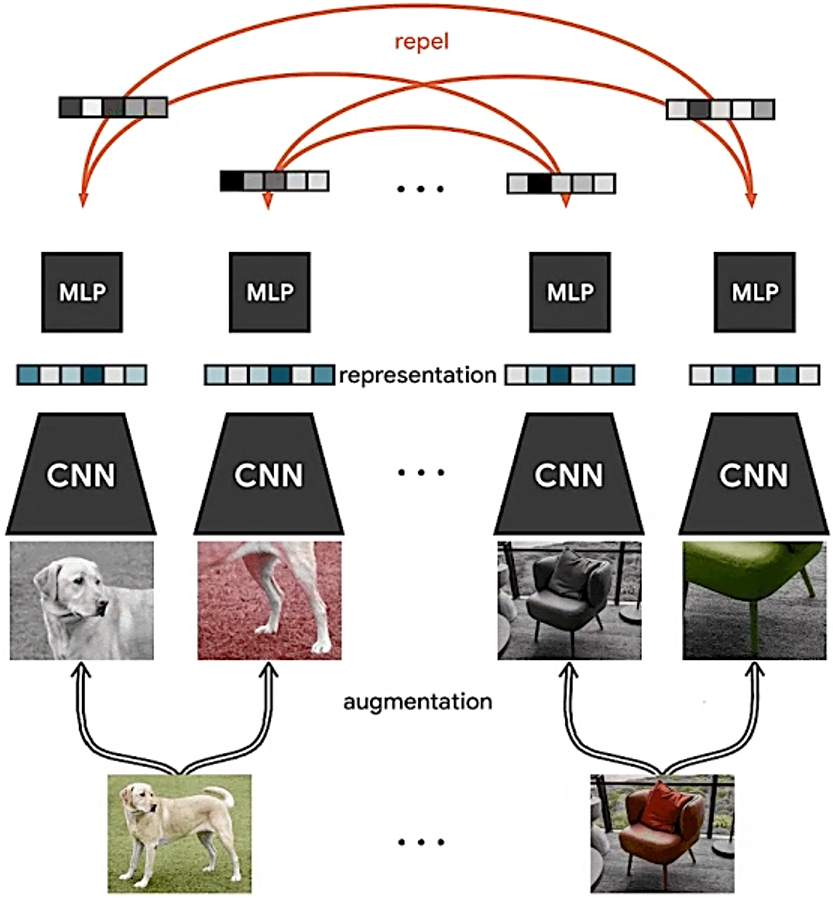 论文解读：(SimCLR)A Simple Framework for Contrastive Learning of Visual Representations-CSDN博客