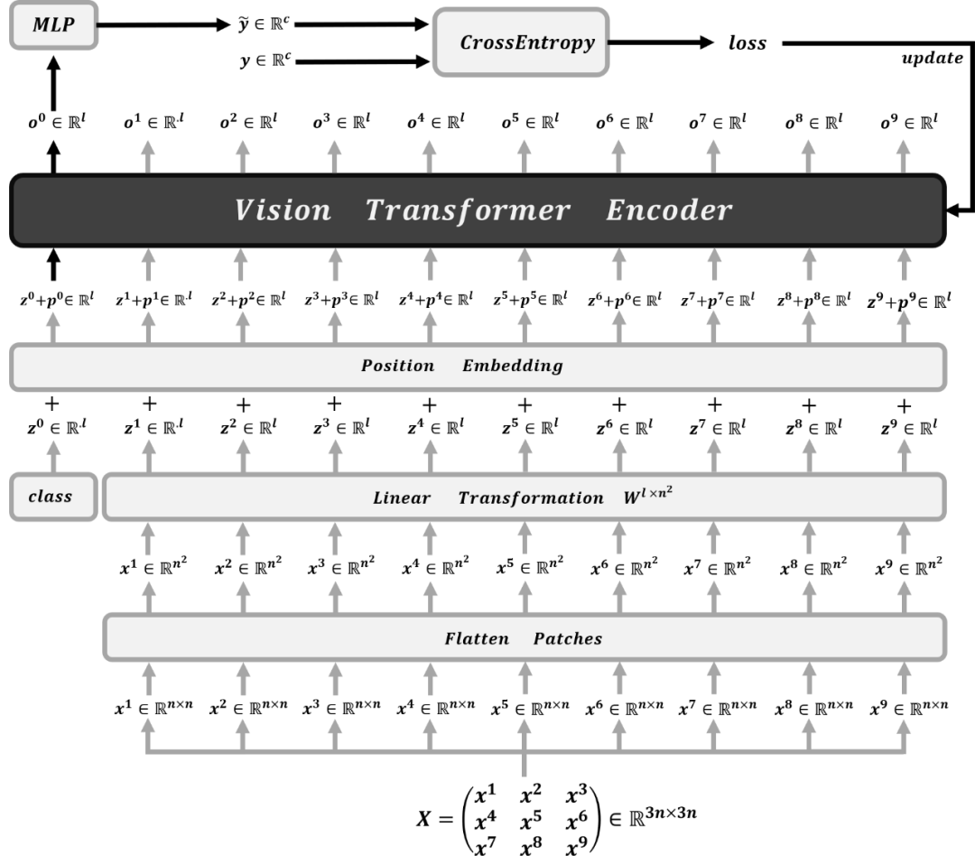 一文详解Vision Transformer（附代码）-CSDN博客