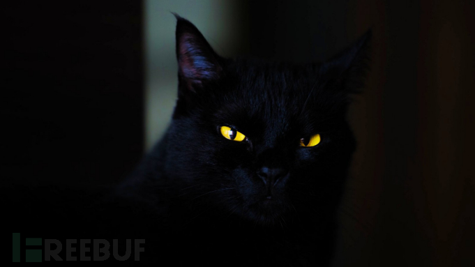 FBI：BlackCat 勒索软件至少入侵了全球60个组织的网络系统_black cat黑客成员-CSDN博客