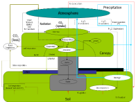 Biome-BGC生态系统模型区域模拟-CSDN博客