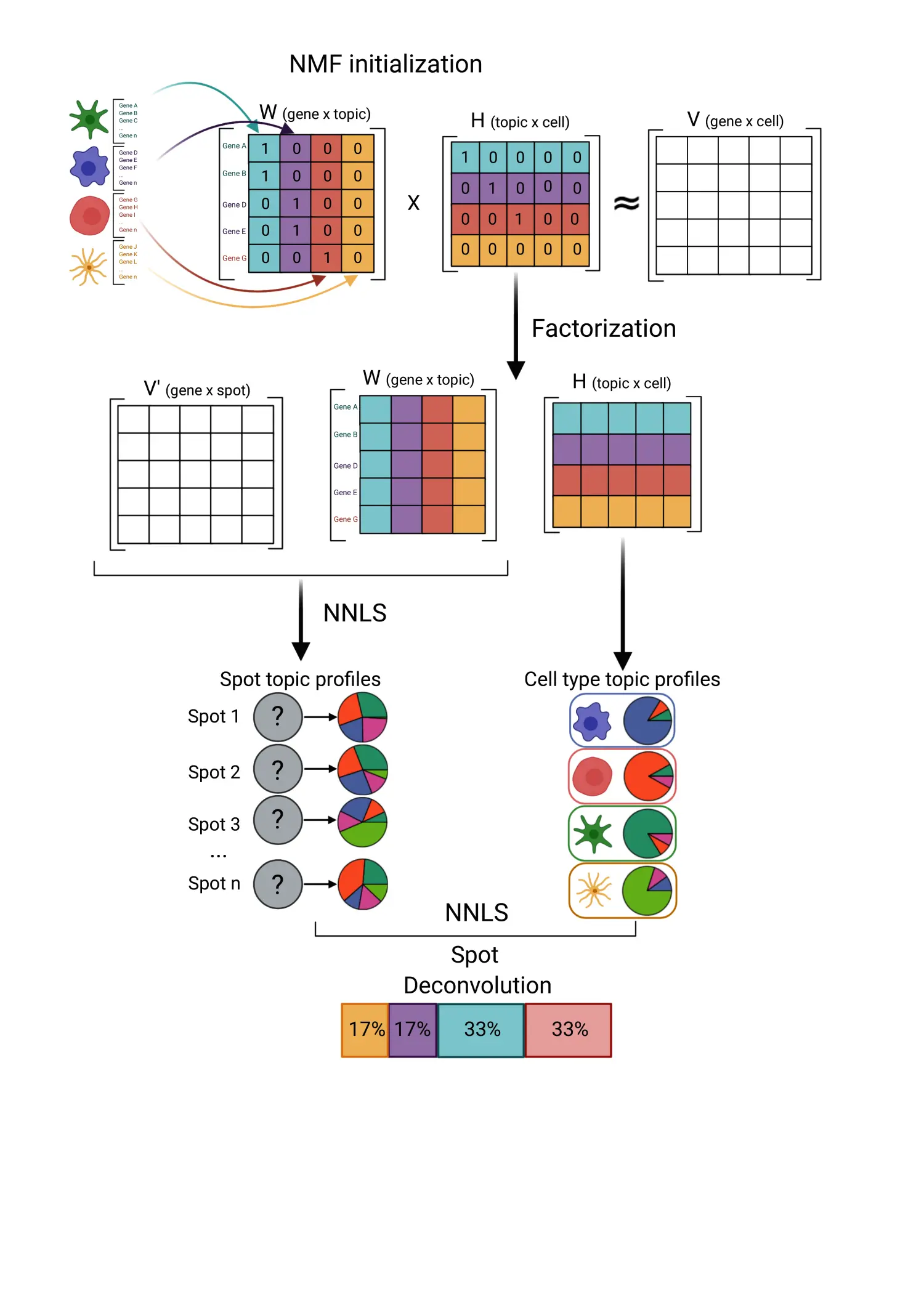 10X单细胞空间联合分析之三----Spotlight_spotlight 联合分析-CSDN博客
