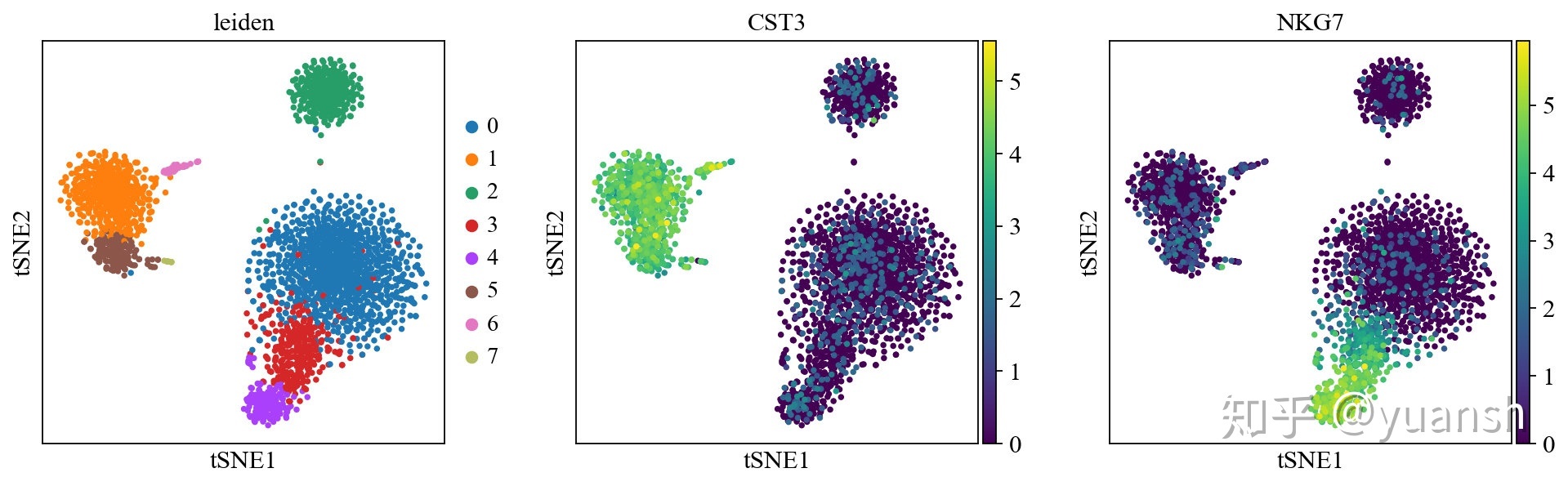 seurat提取表达矩阵_（单细胞-SingleCell）Scanpy流程——python 实现单细胞 Seurat 流程..._赵北云的博客-CSDN博客