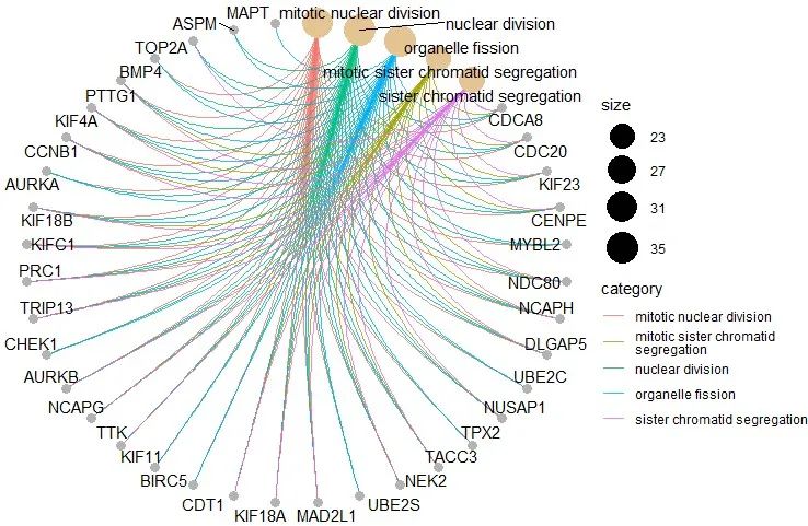 中label换行问题_R tips：调整ggplot2的坐标轴或legend的label长度_weixin_39739846的博客-CSDN博客