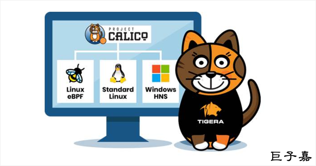 k8s网络插件Calico，常用的有Flannel、Calico、Cilium、OVN网络插件。_kubeovn和calico-CSDN博客