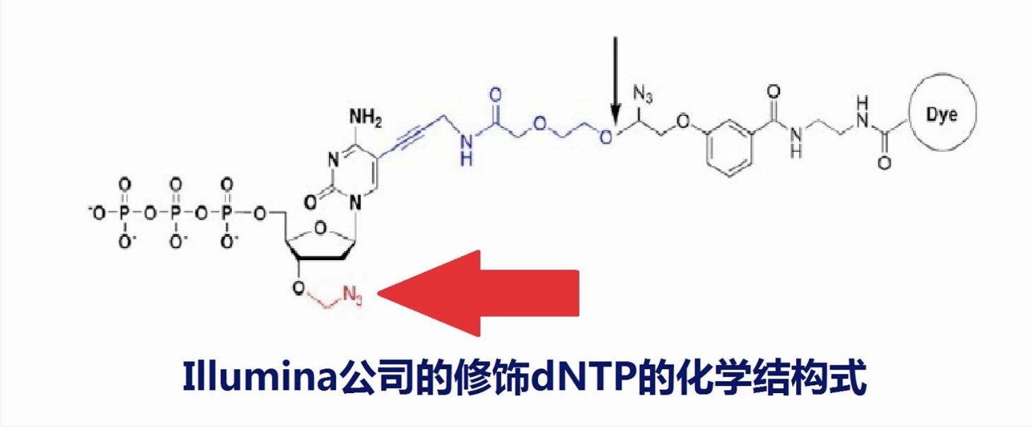 基因测序技术总结-CSDN博客