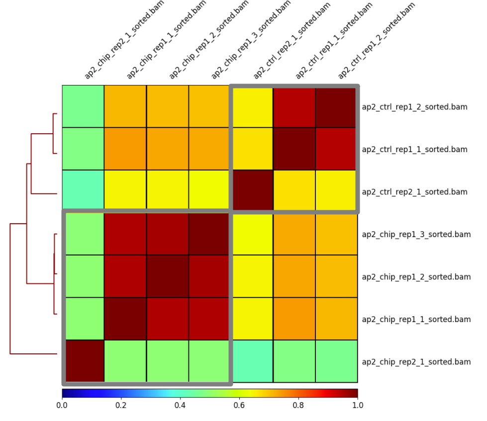 如何使用deeptools处理BAM数据-CSDN博客