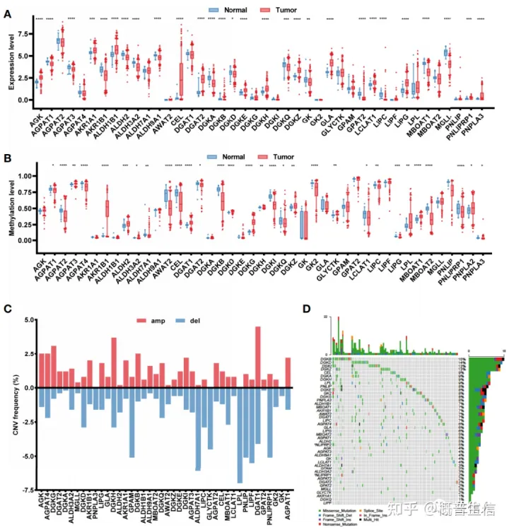 代谢评分打分 甘油三酯_ssgsea分型-CSDN博客