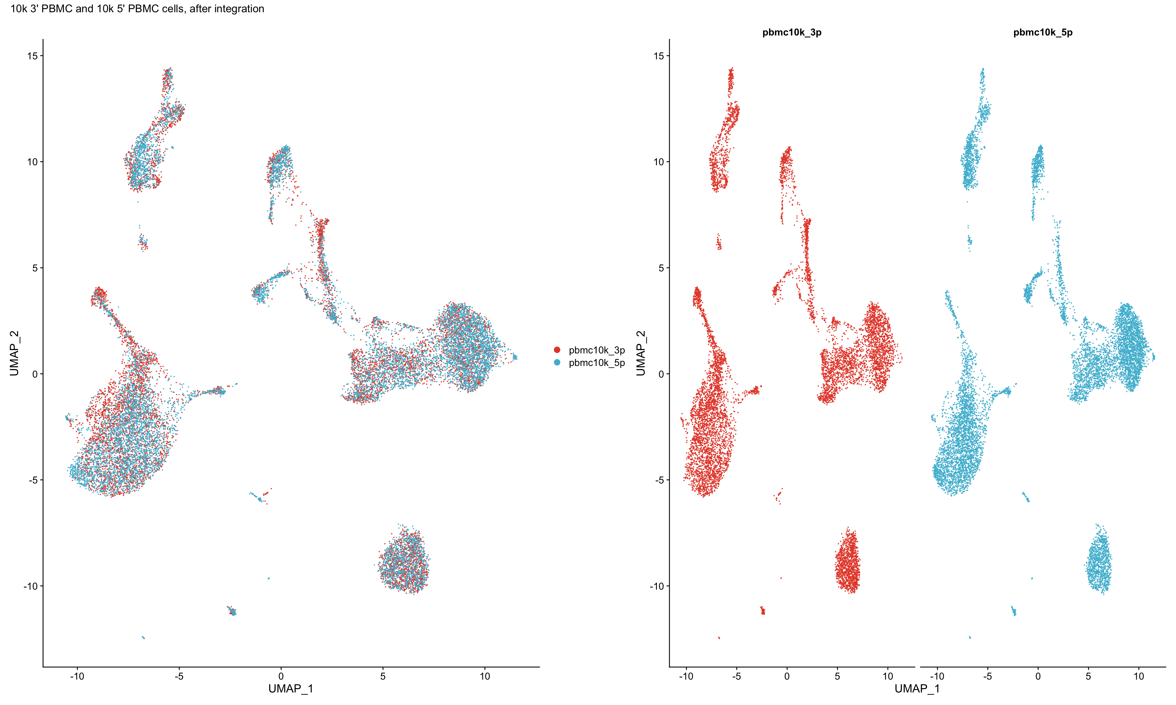 Seurat | 超好用的单细胞测序数据合并（3‘和5‘数据合并）（一）_如何根据celltype整合seurat文件-CSDN博客